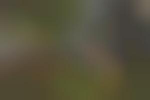 Portable Box Kitchens : Camp Champ