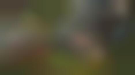 Portable Box Kitchens : Camp Champ