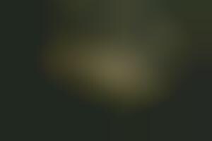 Romantic Shakespearean Photography : Dorota Gorecka