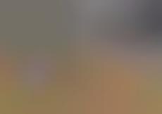 Intelligent Creativity Campaigns : Play-Doh Ad