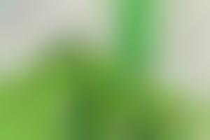 Pickle-Enhancing Recipes : summer pickle