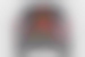 Inflatable Bike Carriers : Bicycle Carrier