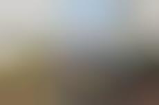 Upcycled Van Campers : van campers