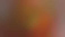 Boozy Gummy Bears : Alcoholic Gummies