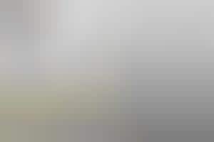 Sleep Cycle Monitors : Sleep Cycle Monitors