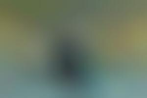 Provocative Hunger Awareness Ads : Raise Awareness About Hunger