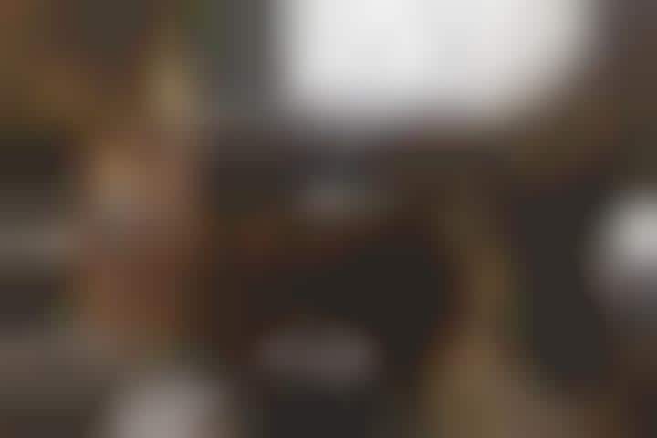 92 Contemporary Restaurant Designs