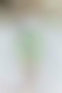 Exaggerated Artisanal Fashion : spring collection