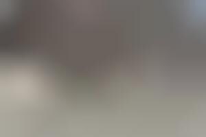 Track-Supported Homes : house on tracks