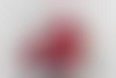 Methane-Powered Cars : Fueled by Methane