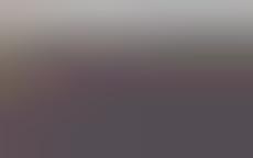 Layover Activity Apps : airport layovers