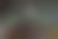 Luxury Car-Inspired Eateries : Restaurant 356