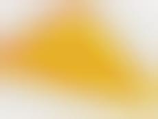 Pizza Pool Toys : pool floatie