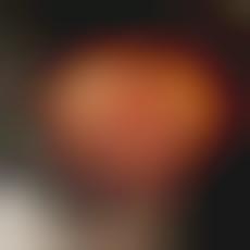 Segmented Cake Molds : Segmented Cake