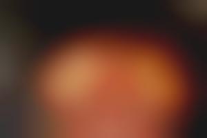 Segmented Cake Molds : Segmented Cake