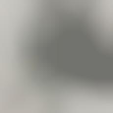 Monochromatic Ink Illustrations : Monochromatic Ink