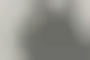 Monochromatic Ink Illustrations : Monochromatic Ink