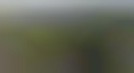 Golf Course Solar Farms : solar farms