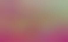 Stuffed Animal Cafes : stuffed animals and toys