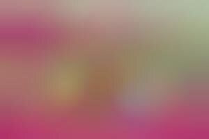 Stuffed Animal Cafes : stuffed animals and toys