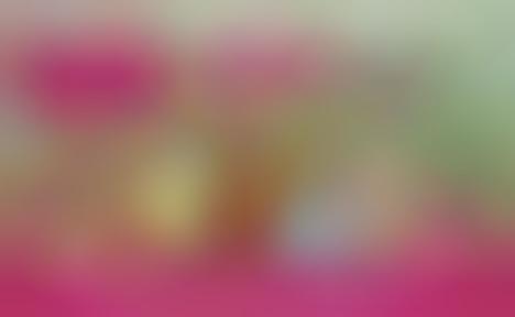 Stuffed Animal Cafes : stuffed animals and toys