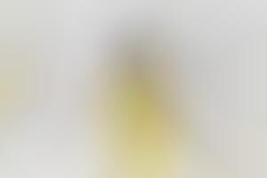 Plush Robot Napping Beds : Baymax bed