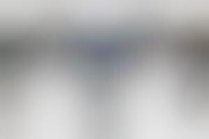 Crustacean-Based Inks : Natural Ink