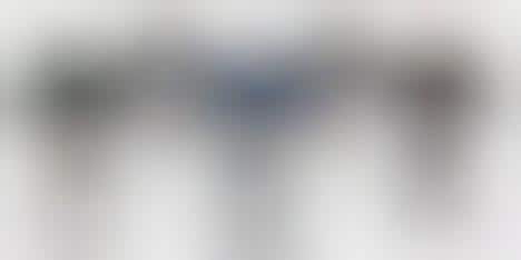 Crustacean-Based Inks : Natural Ink