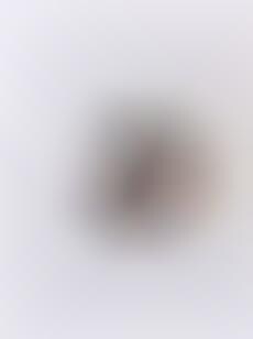 Edible Skin-Enhancing Dust : body dust