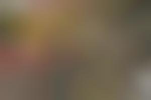 Kaleidoscopic Selfie Studios : straylight