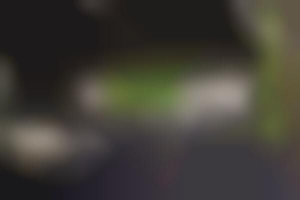 Gamified Work Spaces : Gamified Work Space