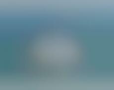 Floating Champagne Bars : floating bar