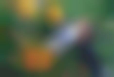 Color-Changing Helmets : protective headgear