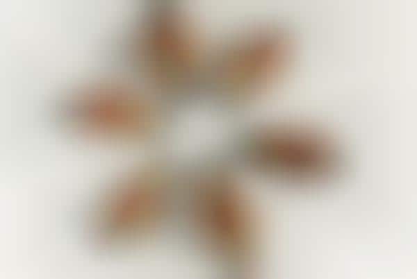 Chocolatey Platypus Eclairs : Chocolate Pastries