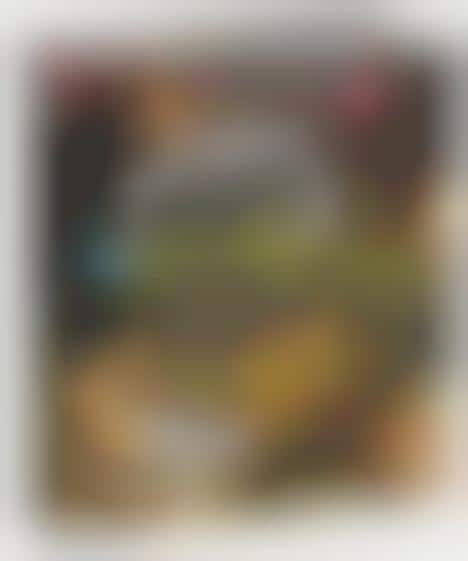 Gangster-Inspired Cookbooks : the Thug Kitchen