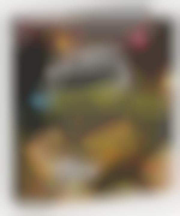 Gangster-Inspired Cookbooks : the Thug Kitchen