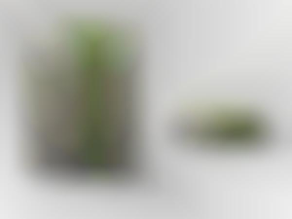 Recycled Paper Bottles : Paper Bottle