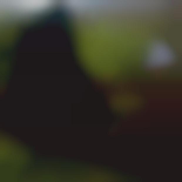 15 Examples of Eco Goth Fashion