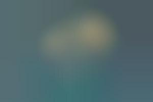 Exploding Vases: Perfectly-Timed Photography