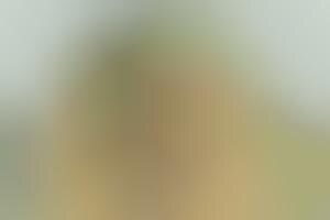 Iconic Movies as Educational Tools: Tweedlebop's ‘Star Wars ABC'