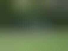 Forced Interaction in Public Spaces: The 'Seesaw Bench'