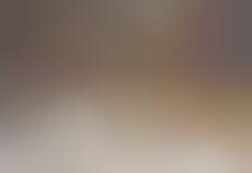 Animal Weddings: Paired Up Pets Get Hitched