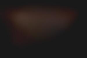 $400,000 Shotguns: J. Purdy & Sons Guns