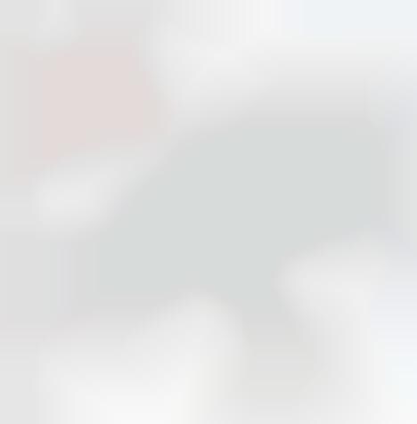 Geographic Dishware: Map Plates