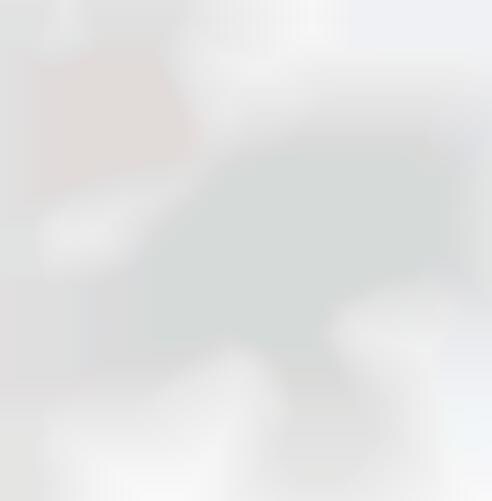 Geographic Dishware: Map Plates