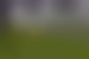 High-Tech Sports Facilities: The RFID Golf Range