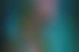 27 Inch Mohawks: Eric Hahn's Record-Breaking Hair