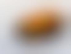 Robot Snow Shovels: The Roofus