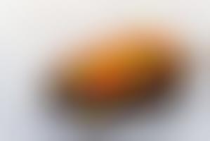 Robot Snow Shovels: The Roofus