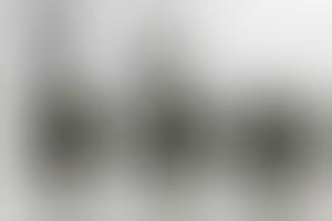 Consistent Labeling Practices : Consistent Labeling